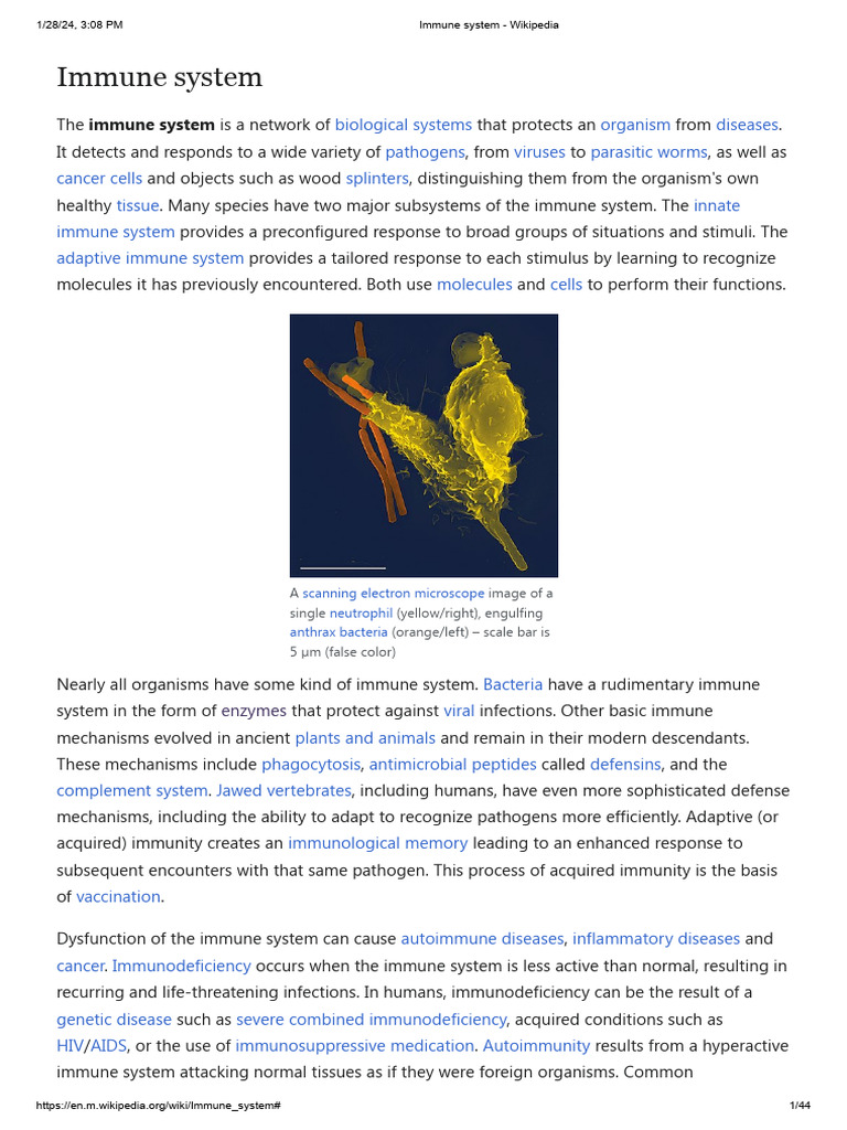 Immune System - Wikipedia | PDF | Immune System | T Cell