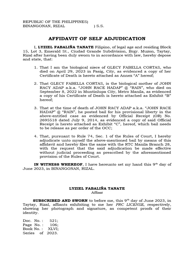 Affidavit of Self Adjudication | PDF | Social Science