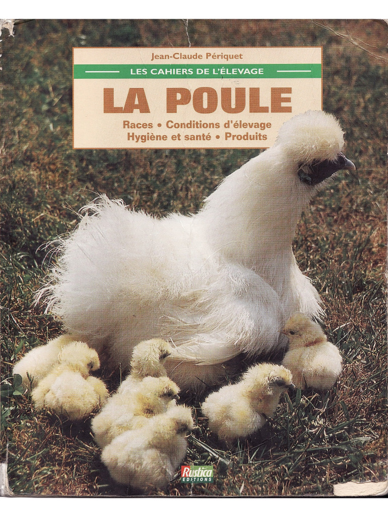 La Poule Anatomie Et Race | PDF