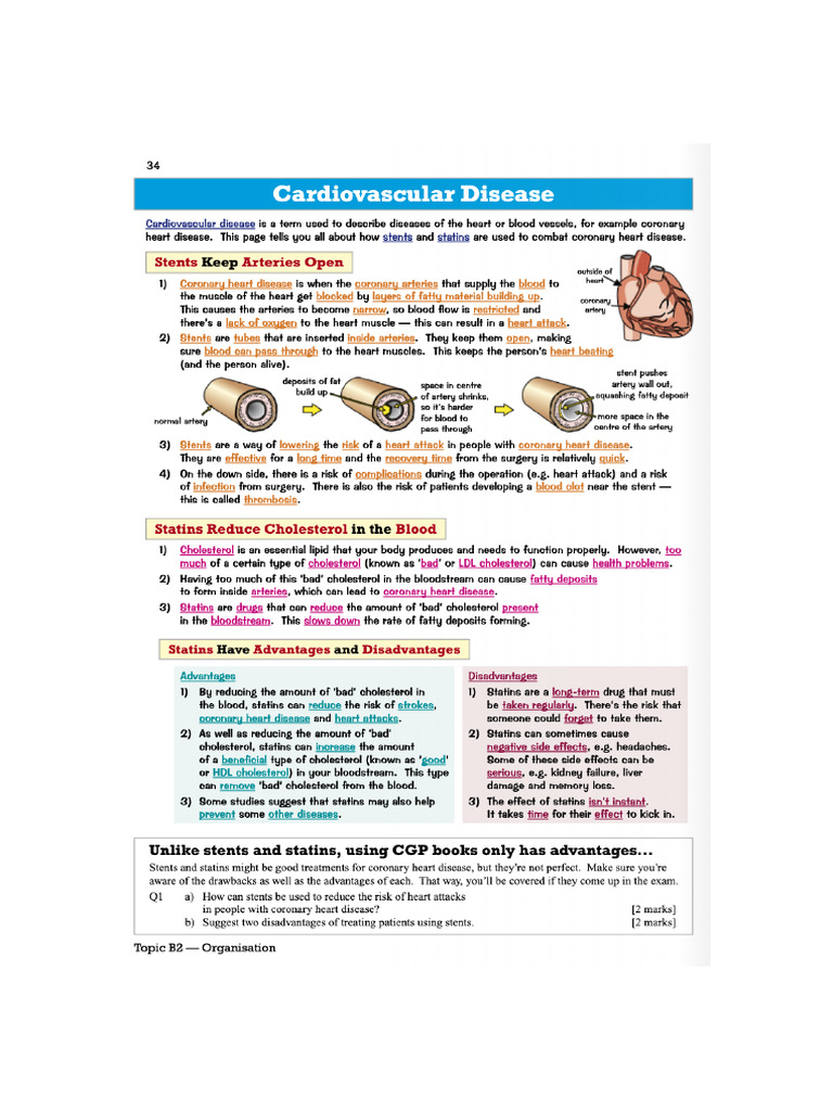 GCSE Cardiovascular Disease CGP Combined Sciences | PDF