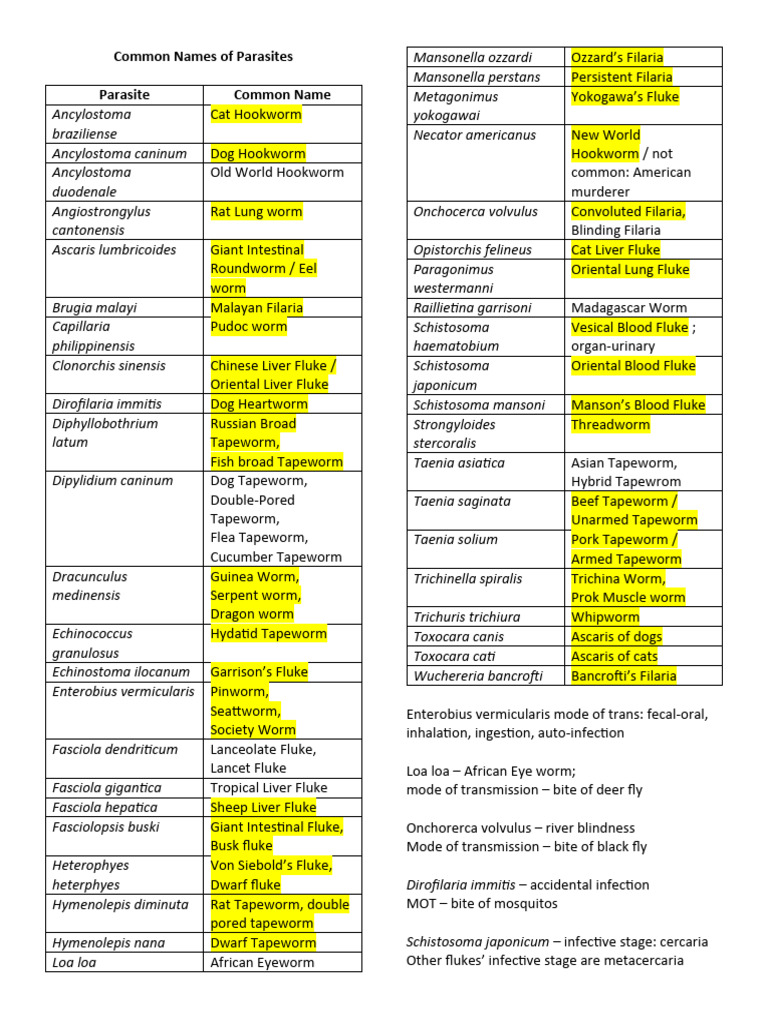 Common Names of Parasites | PDF | Parasitism | Animals And Humans