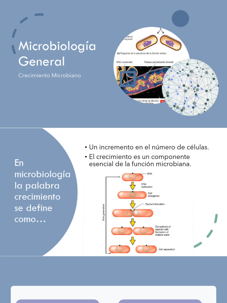 Crecimiento Microbiano | PDF | Biología Celular) | Las bacterias