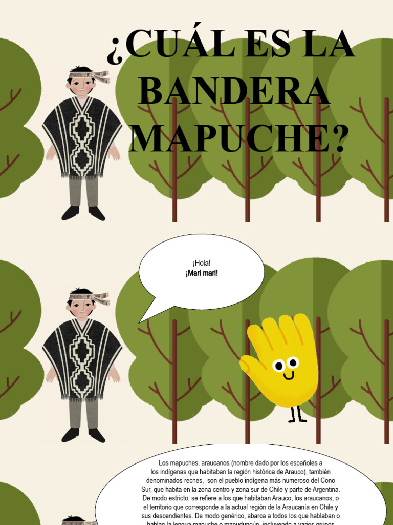 Significado de la Bandera Mapuche | PDF