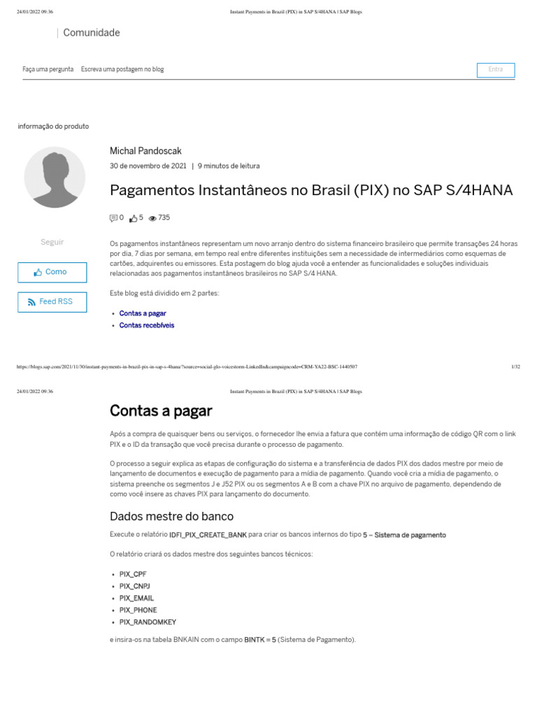 Instant Payments in Brazil (PIX) in SAP S - 4HANA - SAP Blogs | PDF