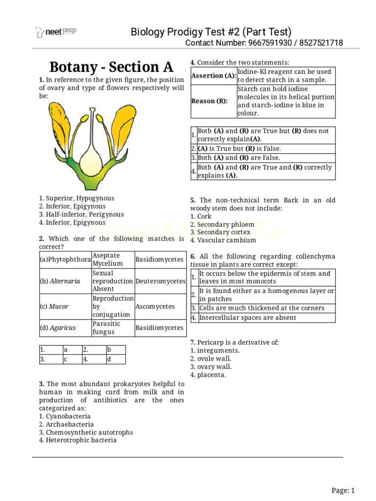 Bio Prodigy Test #2 (VishalxREFLECTor ) | PDF | Muscle | Meiosis
