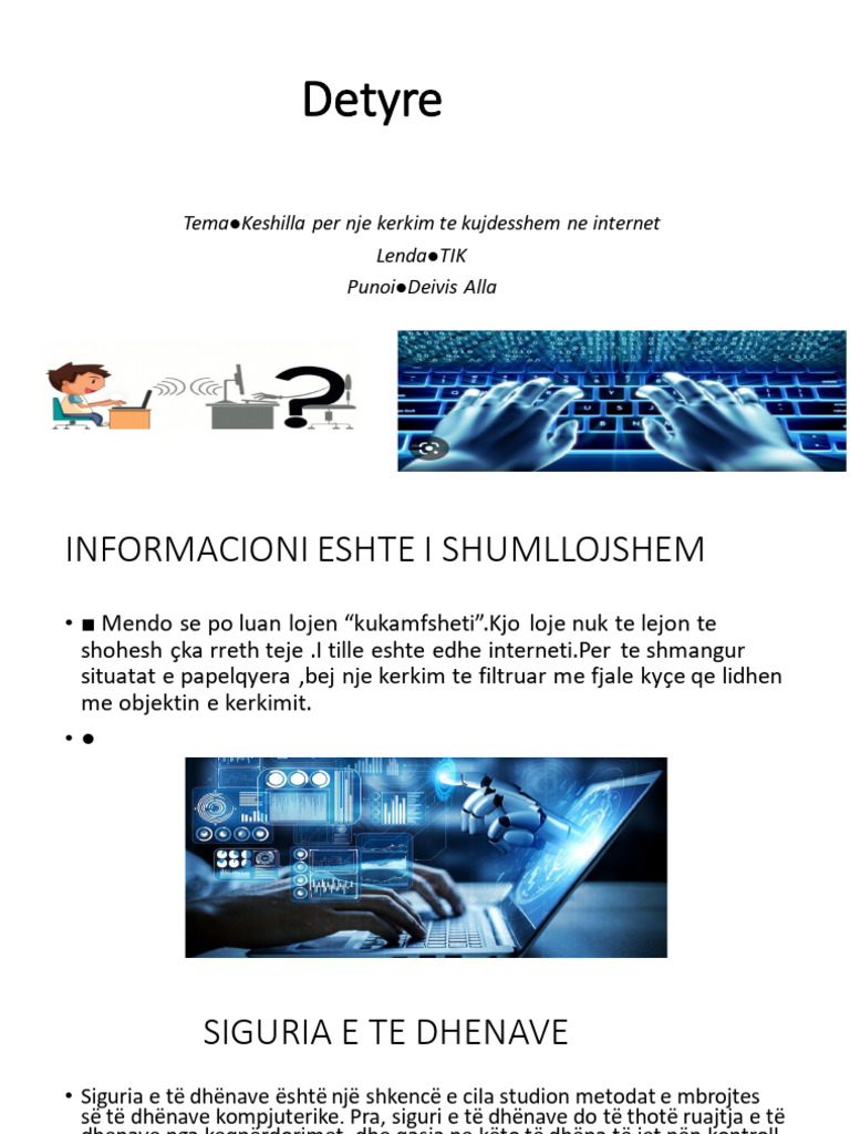 Siguria Ne Internet | PDF