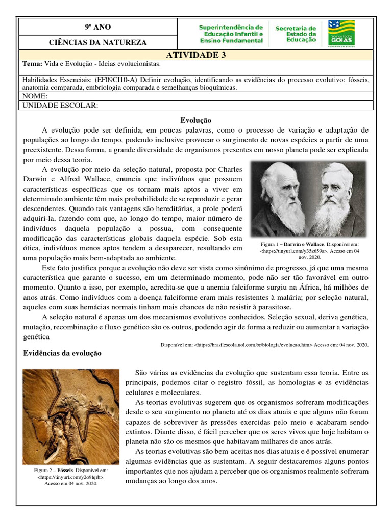 9o CIE Atividade 3 Ideias Evolucionistas | PDF | Evolução | Fóssil