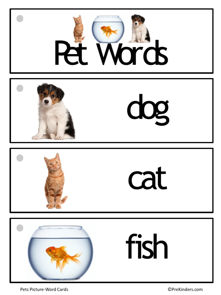 Pet-Word-Cards EDITADO | PDF