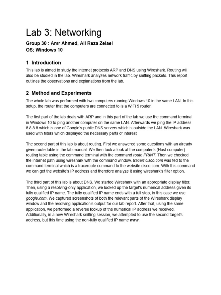Lab 3 Network Lab Report - Amr Ahmed, Ali Reza Zeiaei - New Version | PDF | Ip Address ...