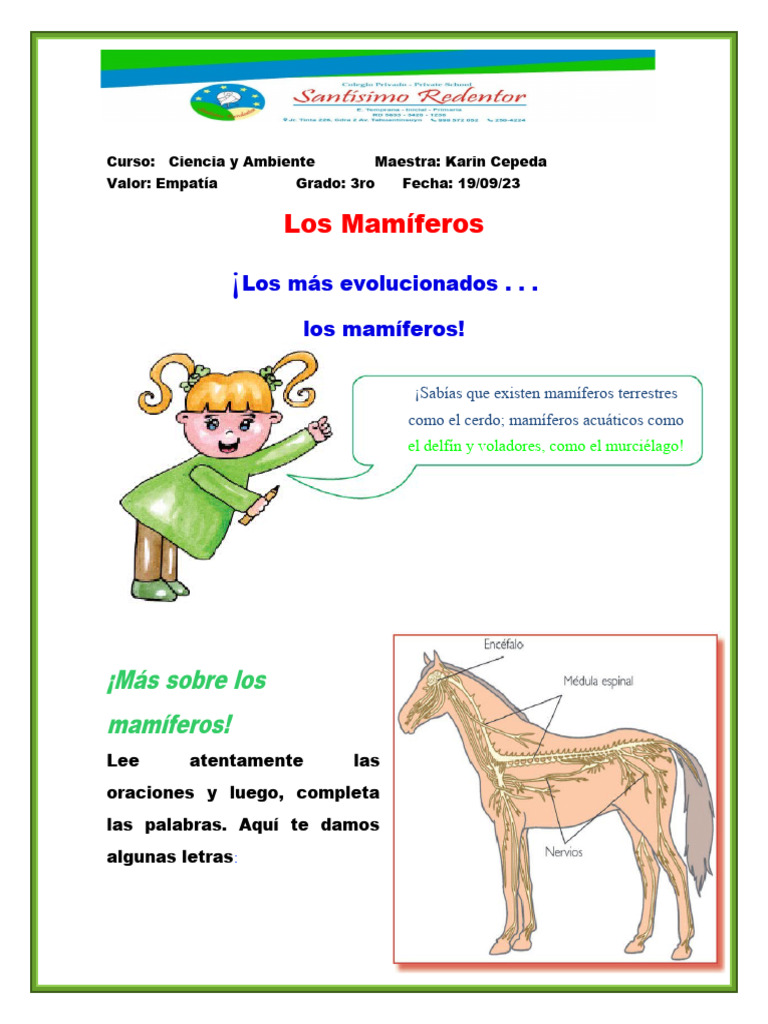 Curso CIENCIA Y AMBIENTE LOS MAMÍFEROS Y AVES | PDF | Mamíferos | Aves