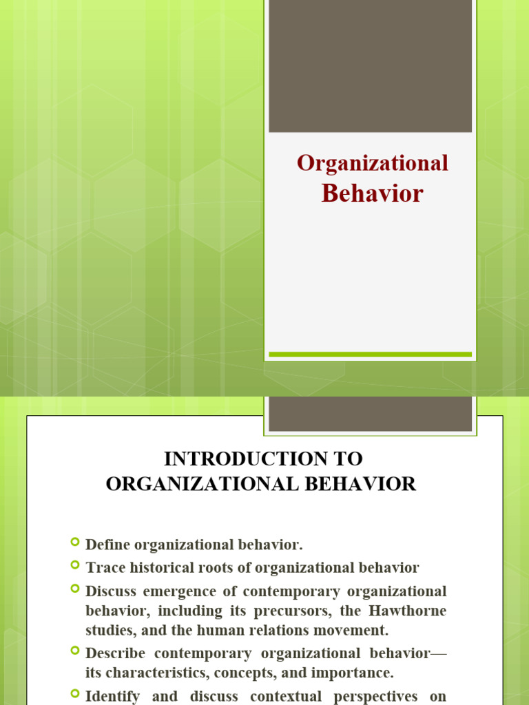 Understanding Organizational Behavior | PDF | Organizational Behavior ...