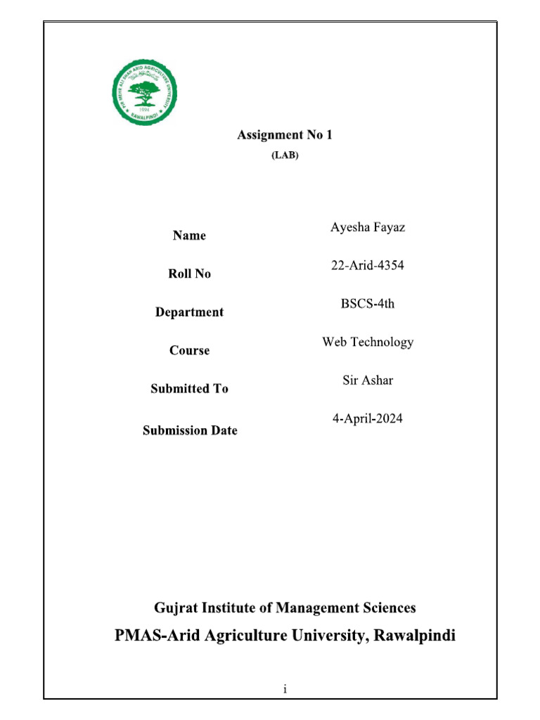 Web Assignment | PDF