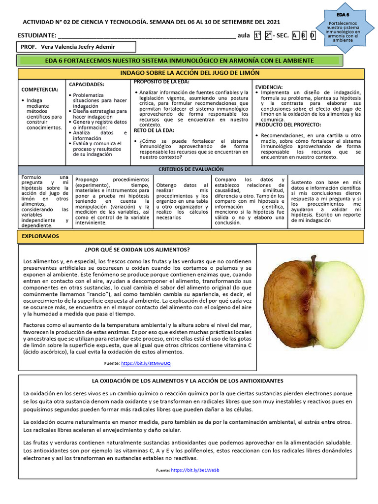 Indaga 1ro y 2do | PDF | Antioxidante | Fruta