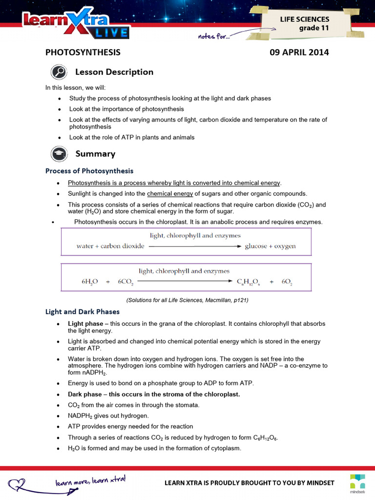 Grade 11 Photosynthesis Overview | PDF | Photosynthesis | Adenosine ...