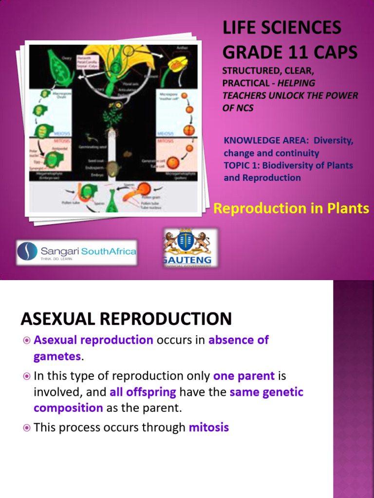 03 Reproduction in Plants | PDF | Flowers | Petal