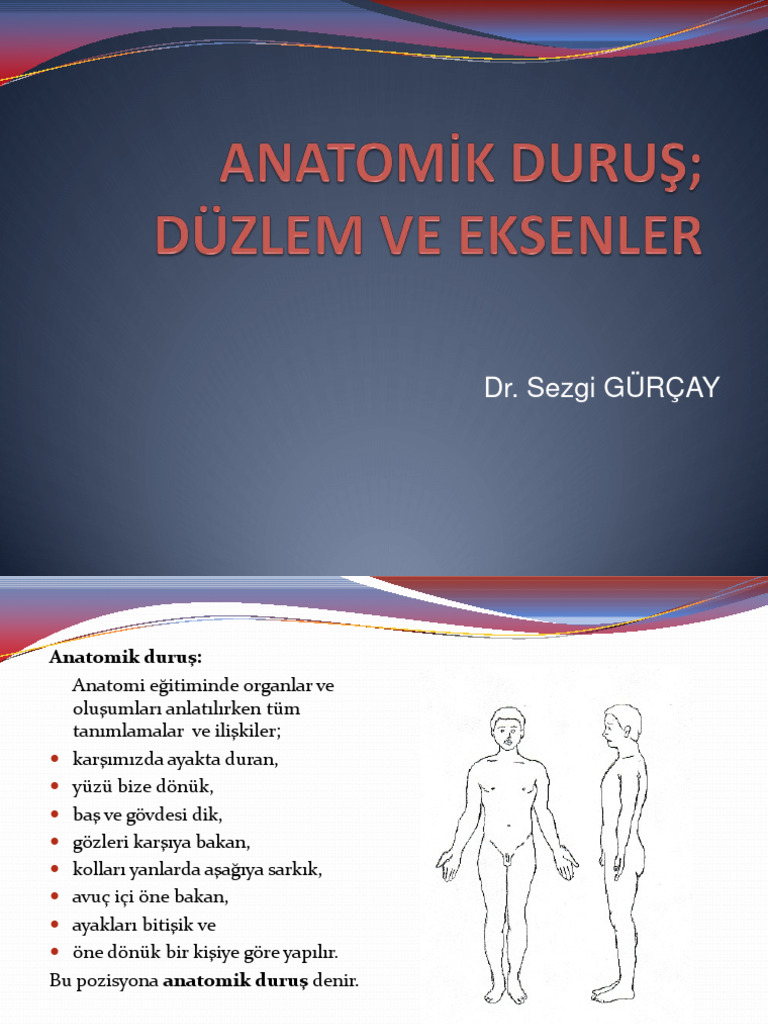 Sezgi Gurcay Anatomik Durus Duzlem Ve Eksenler Hemsirelik FZT 2021.pd | PDF