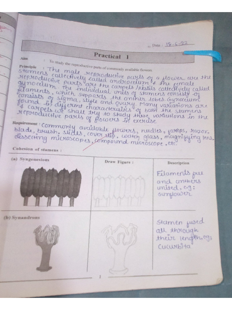 Biology Practicals Class 12th | PDF