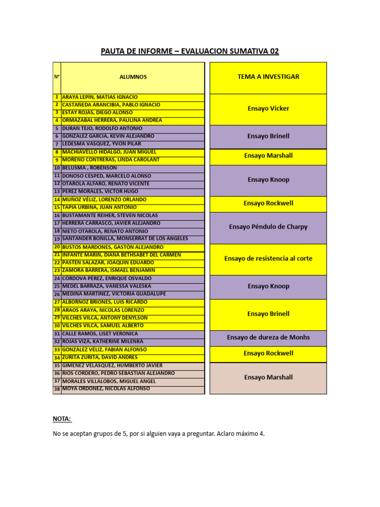 Pauta de Informe - Es02 | PDF | Citación | Escritura