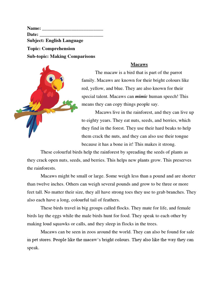 Grade 8 Comprehension Exercise | PDF | Birds | Parrot