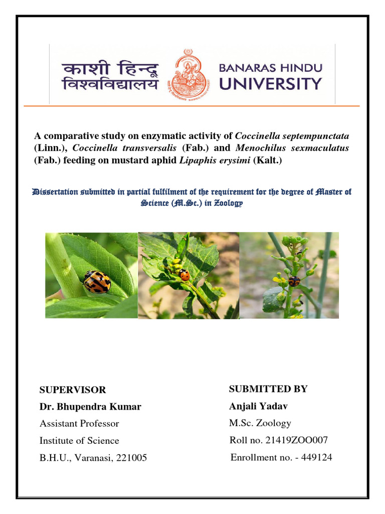 Enzymatic Activity in Ladybird Beetles | PDF | Superoxide Dismutase | Reactive Oxygen Species