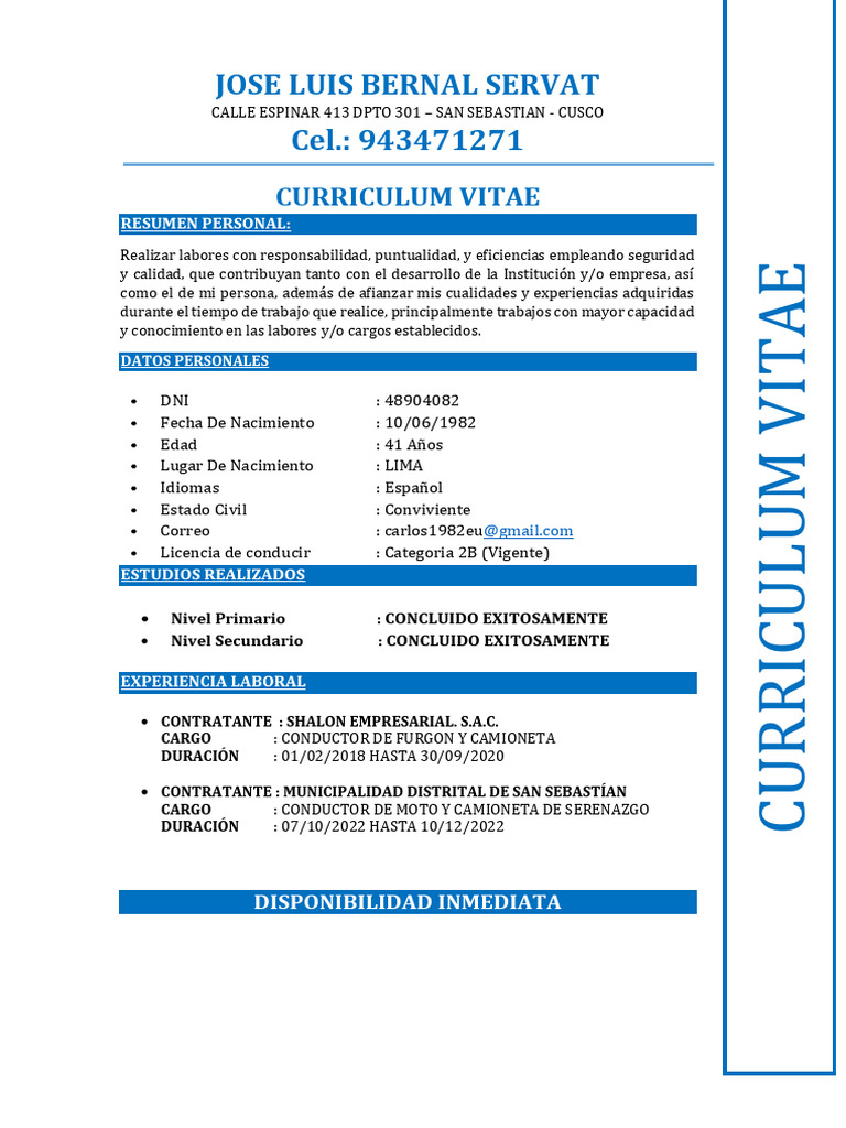 CV jOSE LUIS | PDF