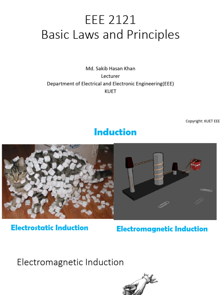 TEP1 | PDF | Electromagnetic Induction | Physics
