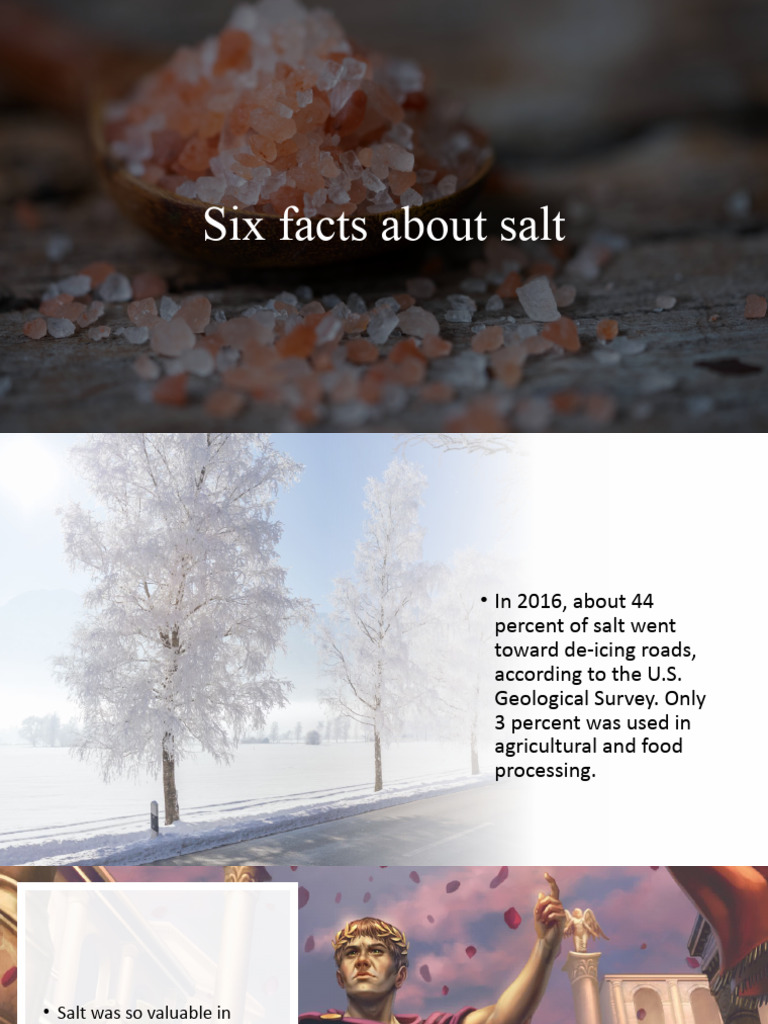 Six Facts About Salt | PDF