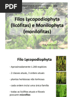 Filotaxia | PDF | Folha | Morfologia vegetal