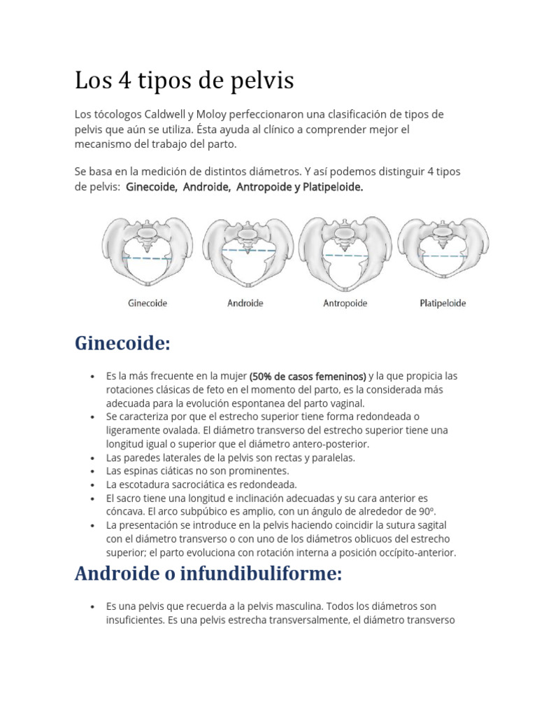 Clasificación de la pelvis según Caldwell y Moloy | PDF | Pelvis | Parto