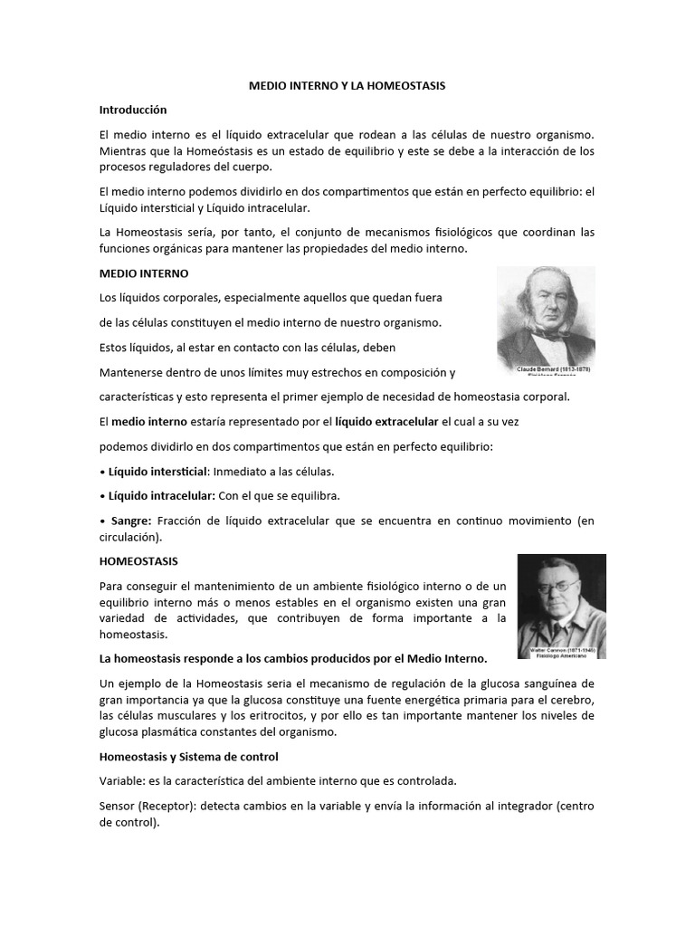 Homeostasis y Medio Interno: Equilibrio Corporal | PDF | Homeostasis ...