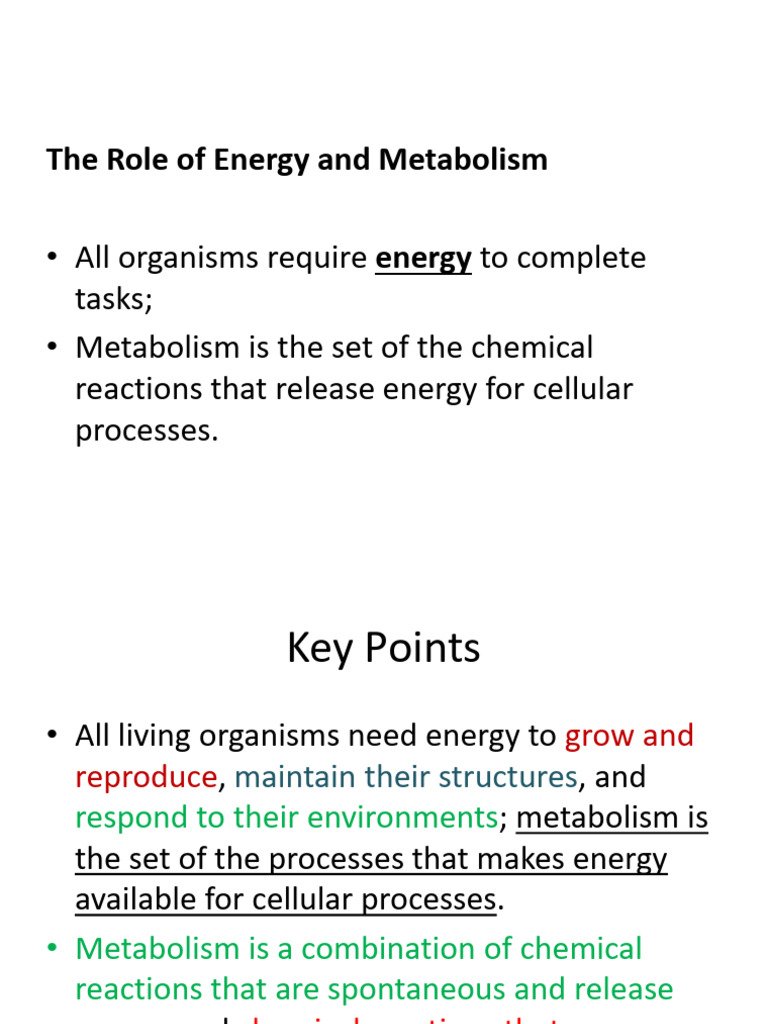 Unit 5 L5 | Download Free PDF | Metabolism | Metabolic Pathway