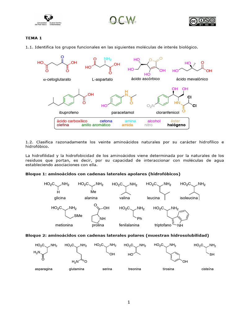 Soluciones A Los Ejercicios | PDF | Aminoácidos | Ácido