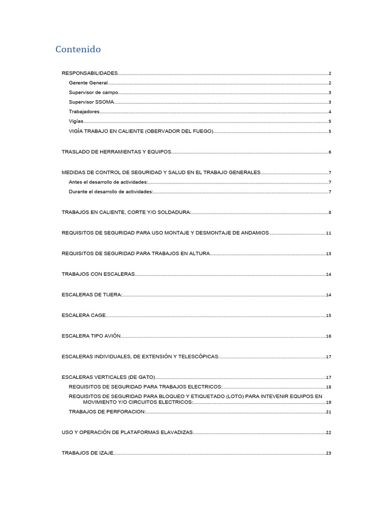 Controles de Seguridad | PDF | Escalera | Andamio