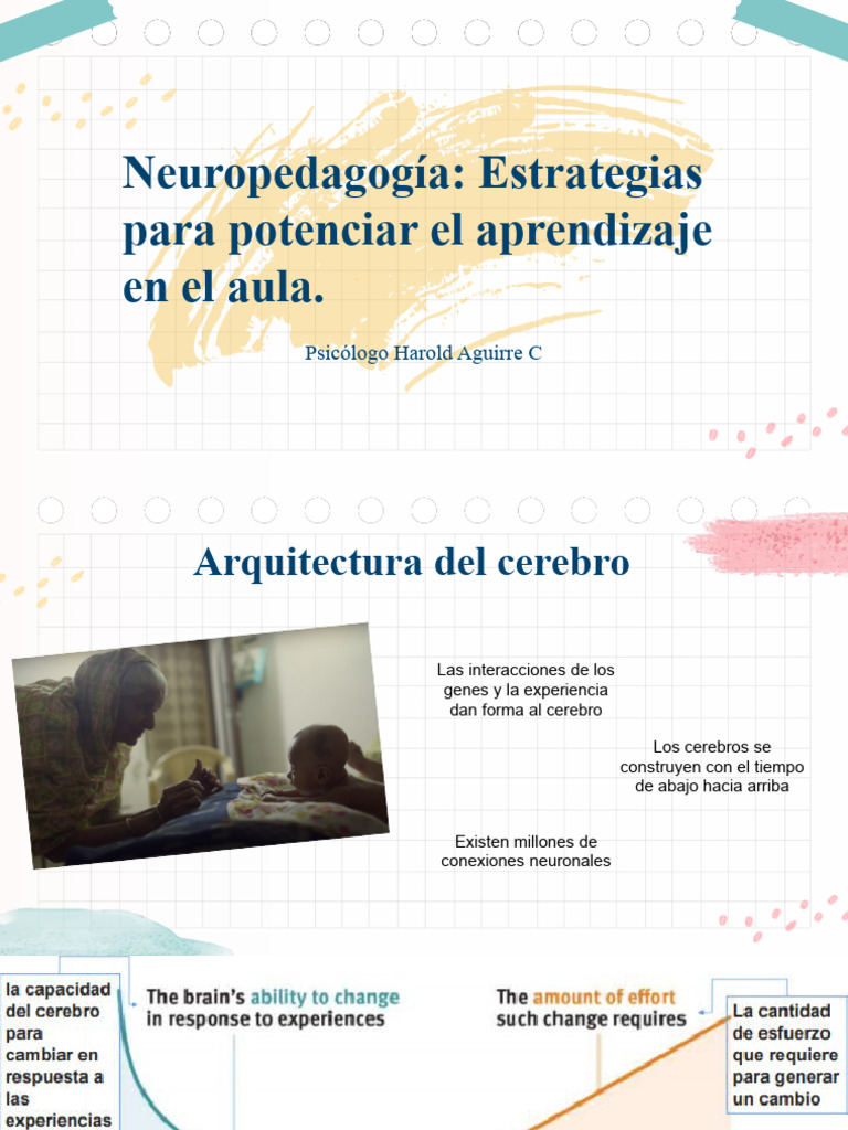 Neuropedagogía Estrategias para Potenciar El Aprendizaje en El Aula. | Descargar gratis PDF ...