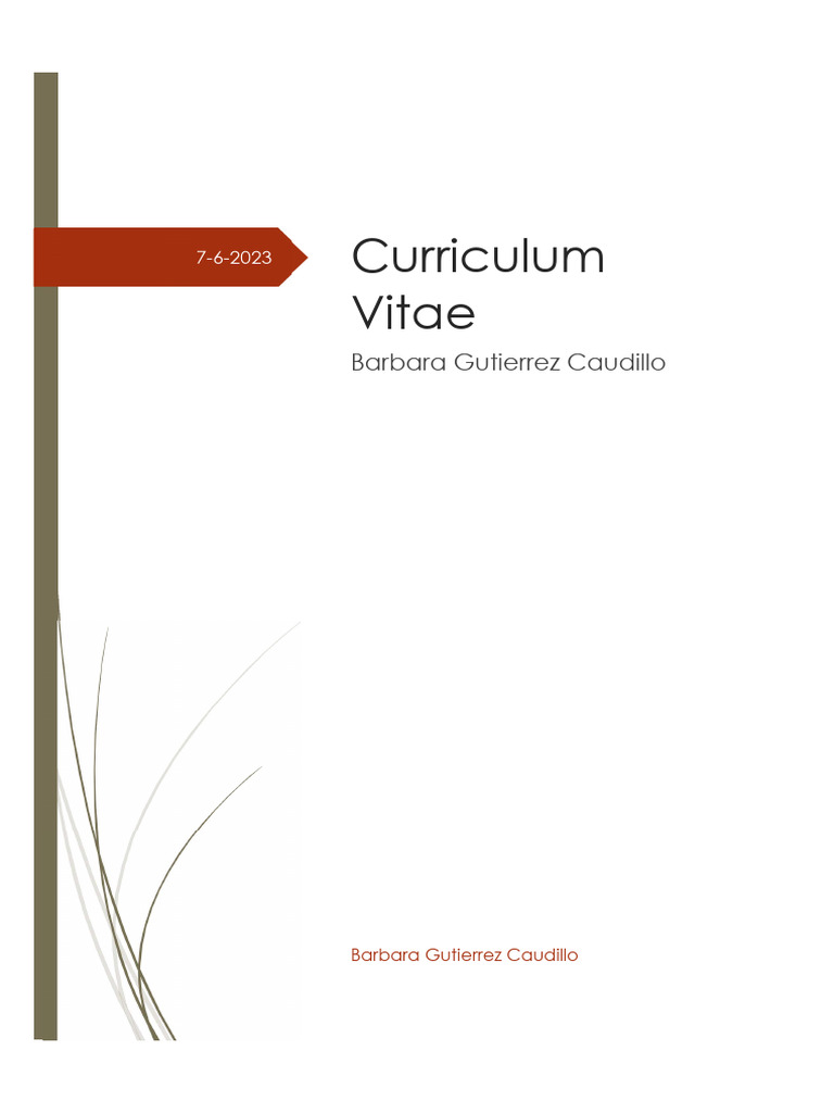 CV Barbara | PDF | Logística | Business