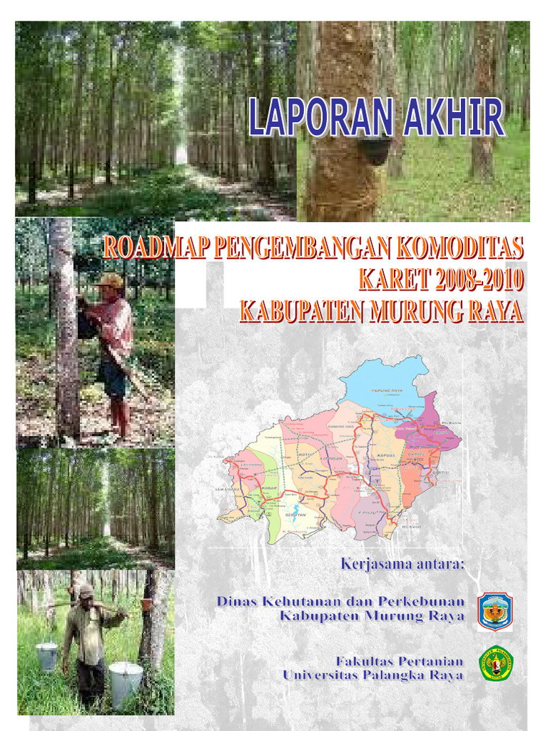 Cover ROADMAP MURA | PDF