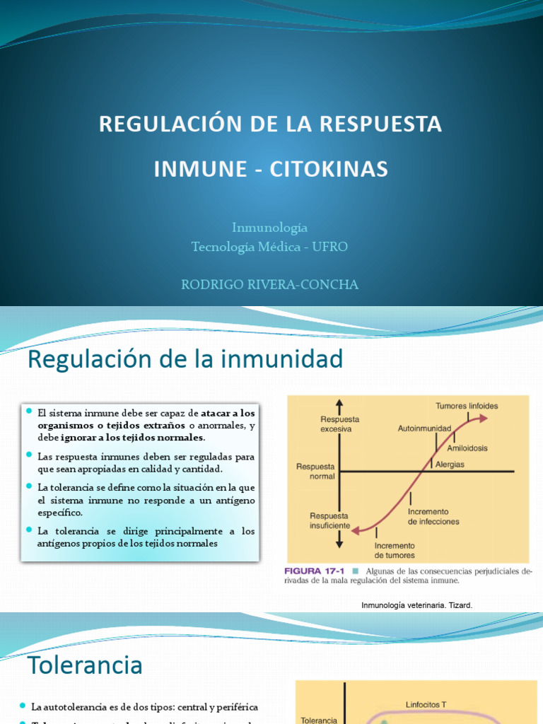 14 Clase - Regulación de La Respuesta Inmune - Citokinas | Descargar gratis PDF | Citocina ...