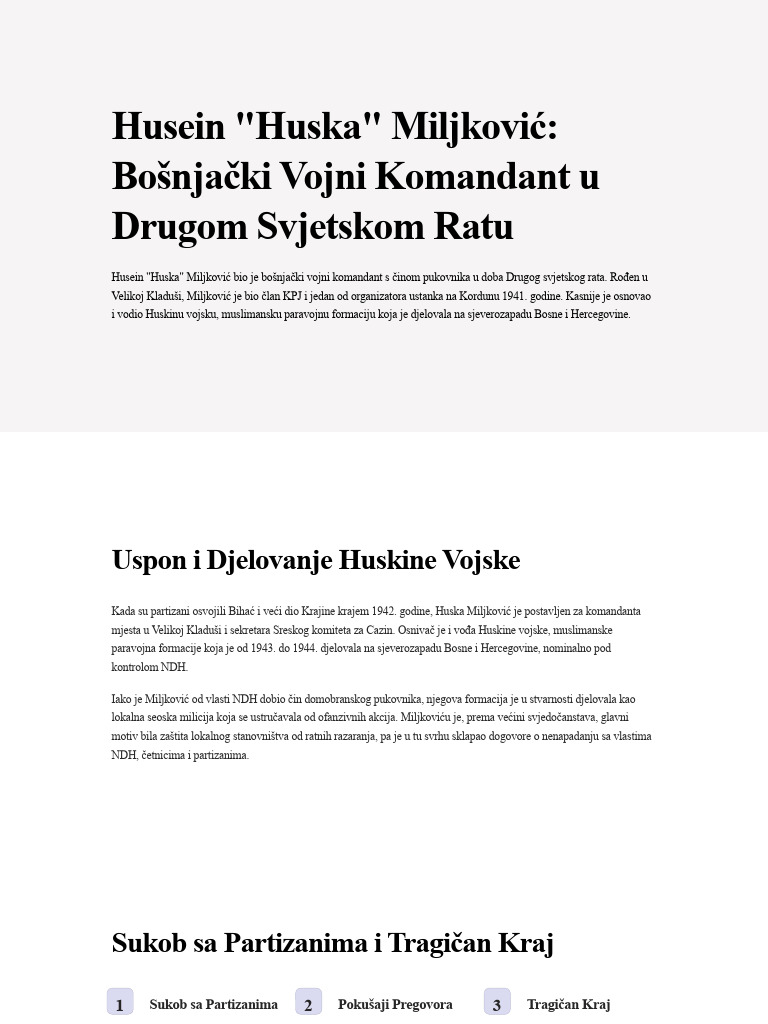Husein Miljković | PDF