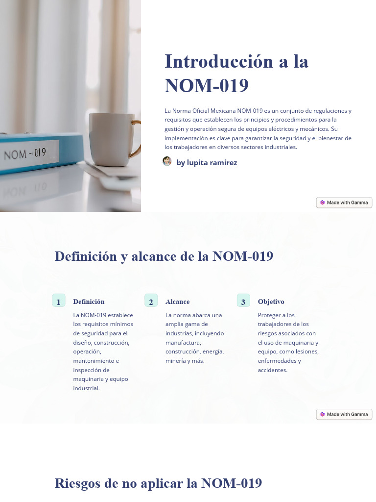 Introduccion A La NOM 019 | PDF | Valores | Business