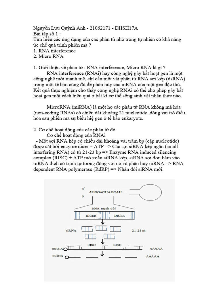 bài tập SHPT | PDF