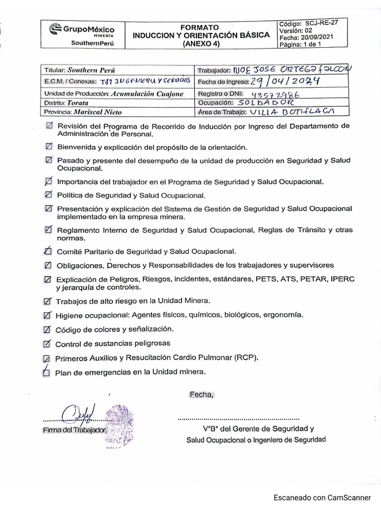 SCJ-RE-28 - Ortega Falcon Noe Jose - T&T INGENIERIA Y SERVICIOS SRL | PDF