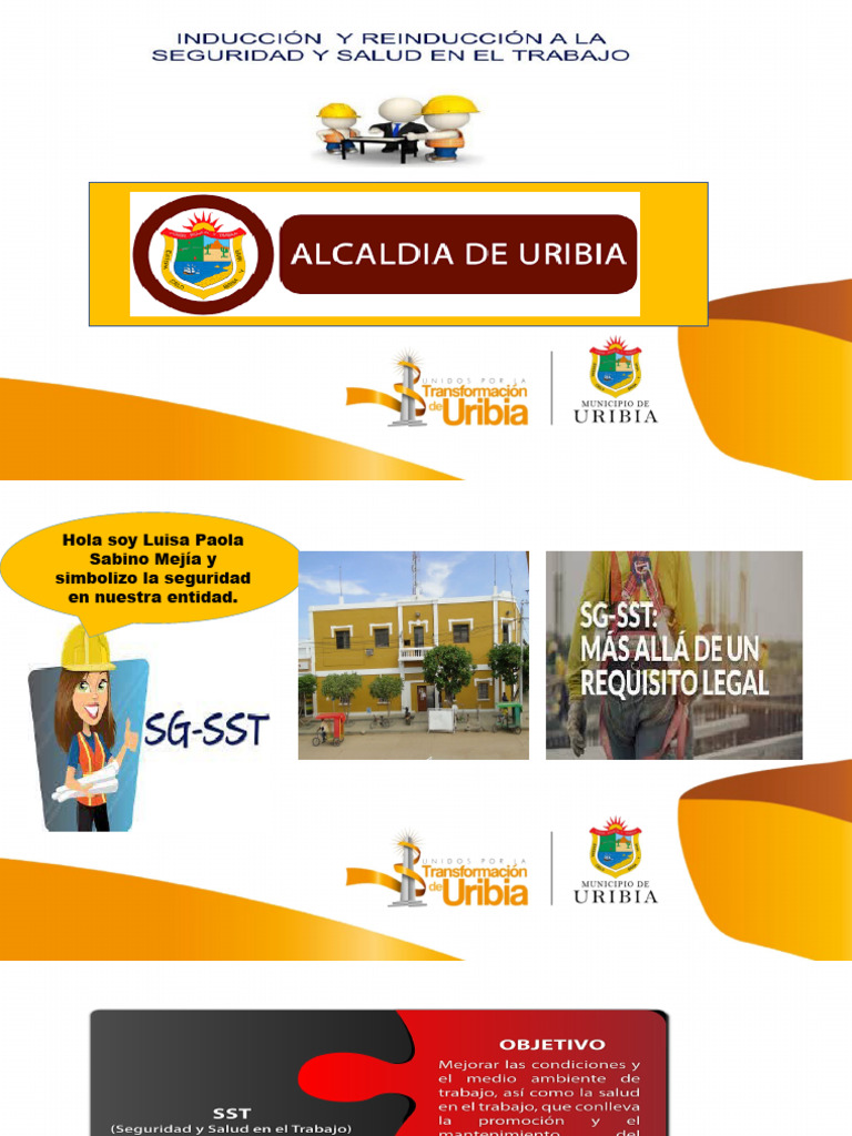 Induccion y Reinduccion SST | PDF