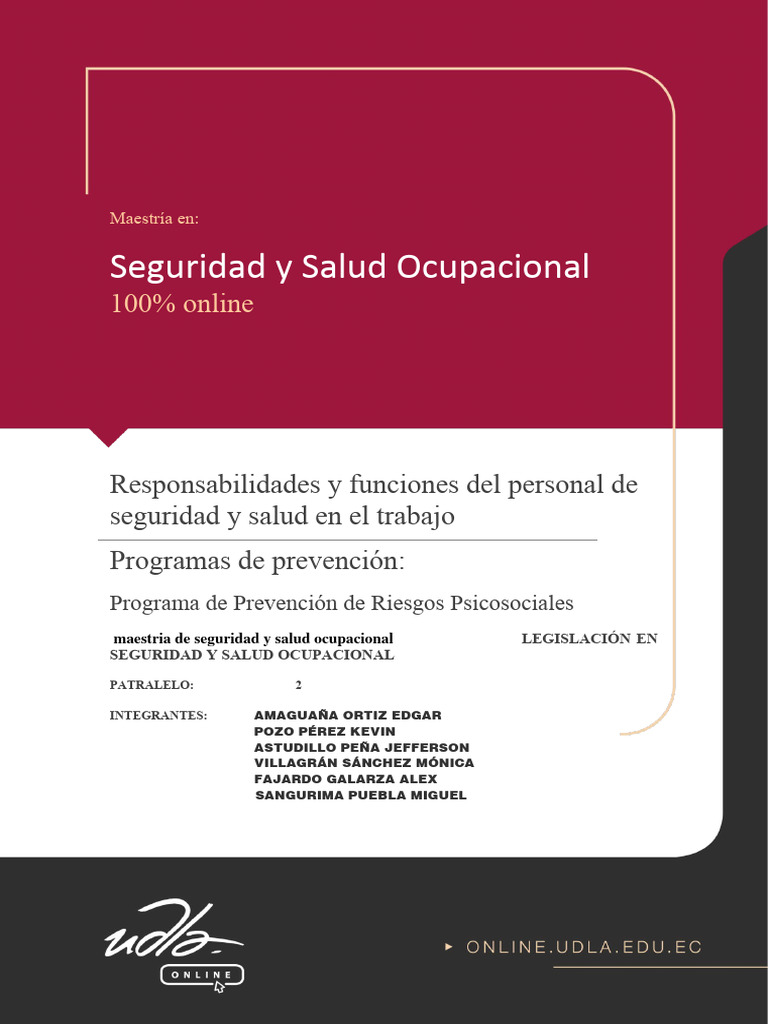 Formato - Programa de Prevención | PDF | Valores | Seguridad y salud ...