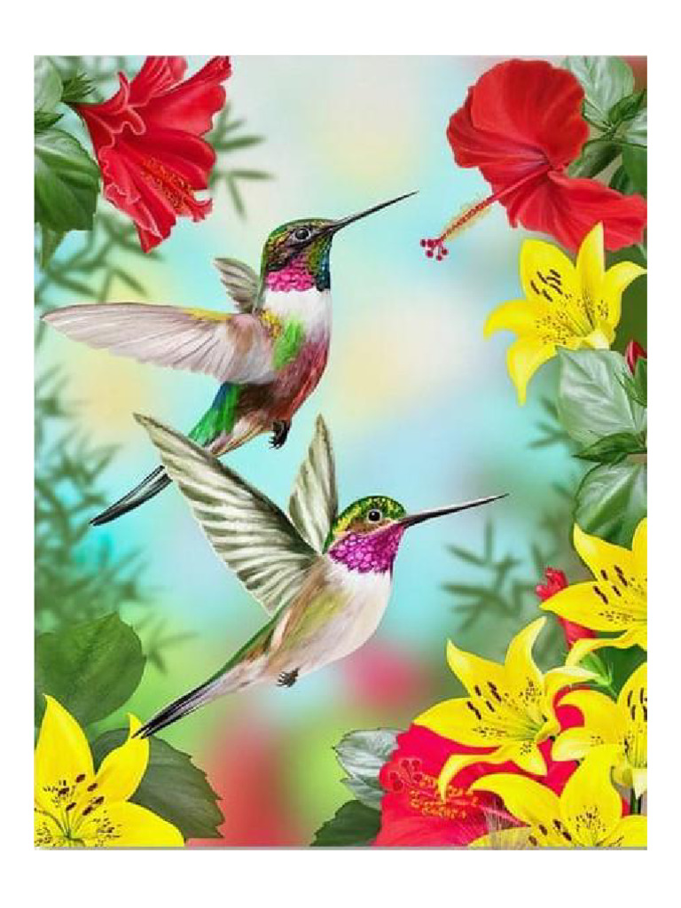 Colibries | PDF