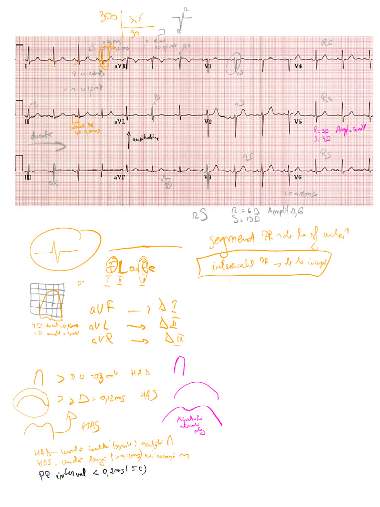 Note 14 Jan 2024 | PDF | Cardiac Electrophysiology | Cardiovascular ...