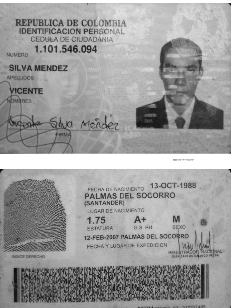 Documentos Vicente | PDF