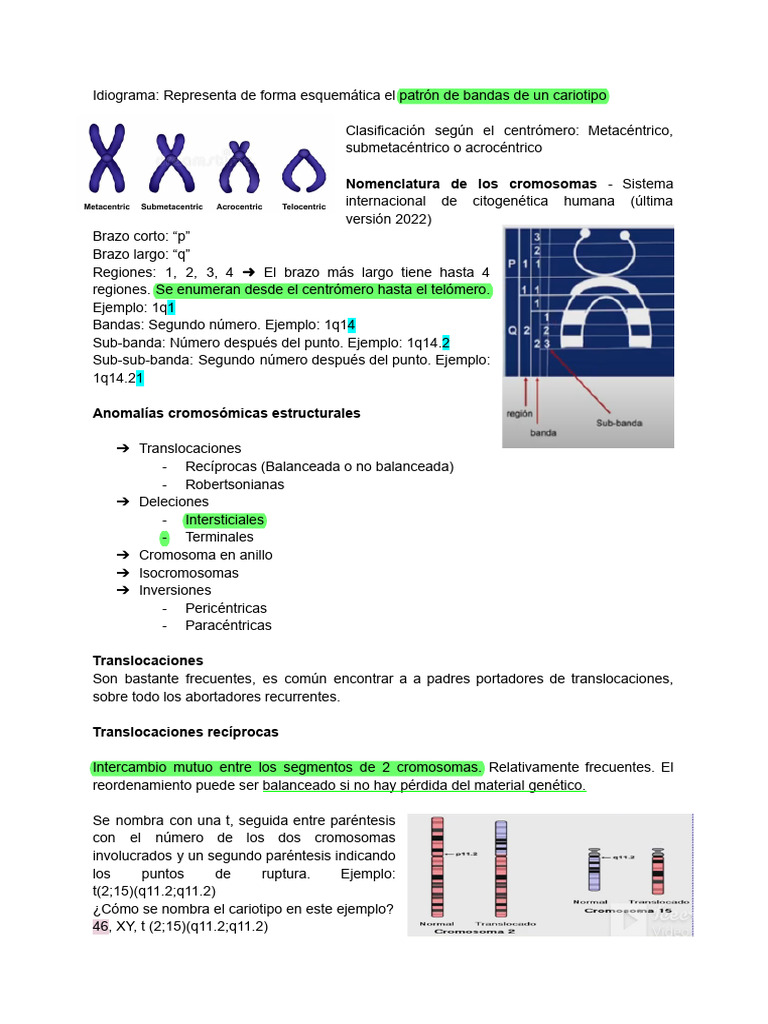 Anomalías Cromosómicas Estructurales | PDF | Cromosoma | Trastorno genético