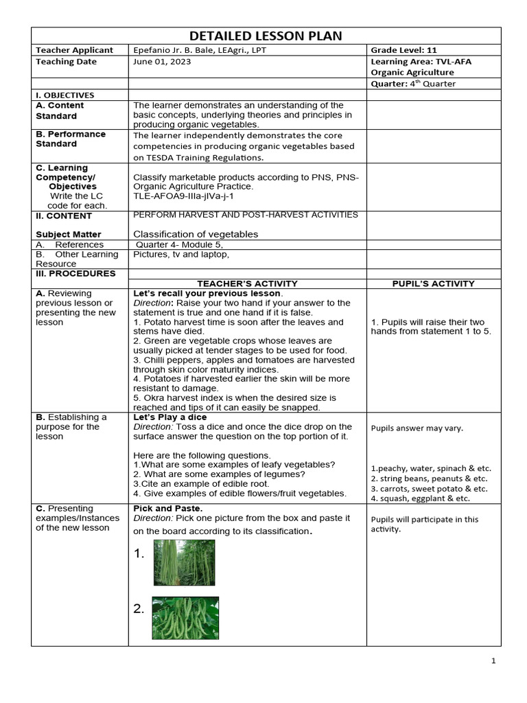 Lesson Plan in AGRI For Demo | PDF | Vegetables | Onion