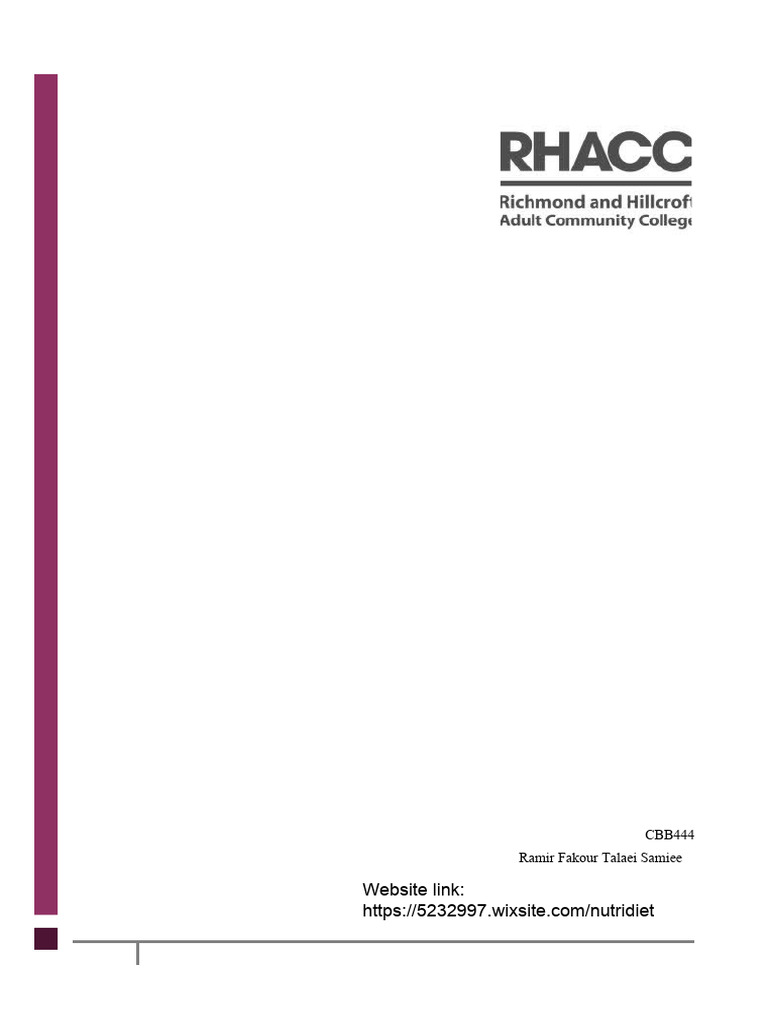 Copia de Copia de R 2 Website Design and Creation Report RAMIR FAKOUR ...