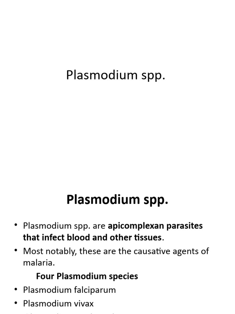 Plasmodium SPP | PDF | Plasmodium | Malaria